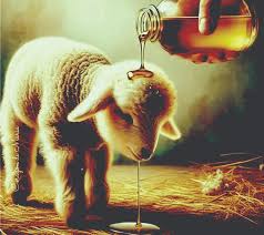 ¿QUÉ SIGNIFICA "UNGIR MI CABEZA CON ACEITE"? - Vida Ascendente